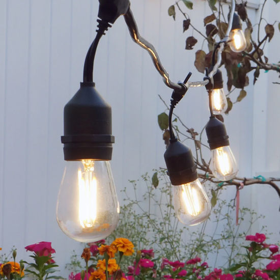 AFC Trading. Hanging Outdoor Festoon Light Bulbs (10 Mts/10 Led ...